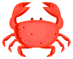 Season Rewards | Nitro Math